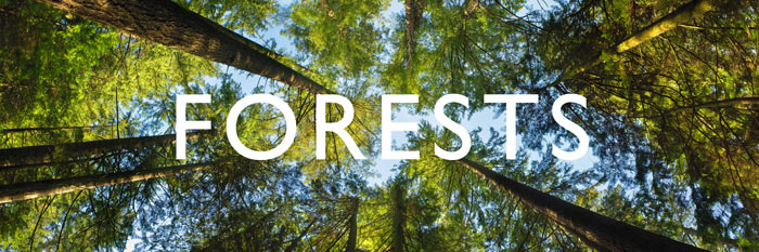 Galleries | Jason Denning - Panoramic Photography